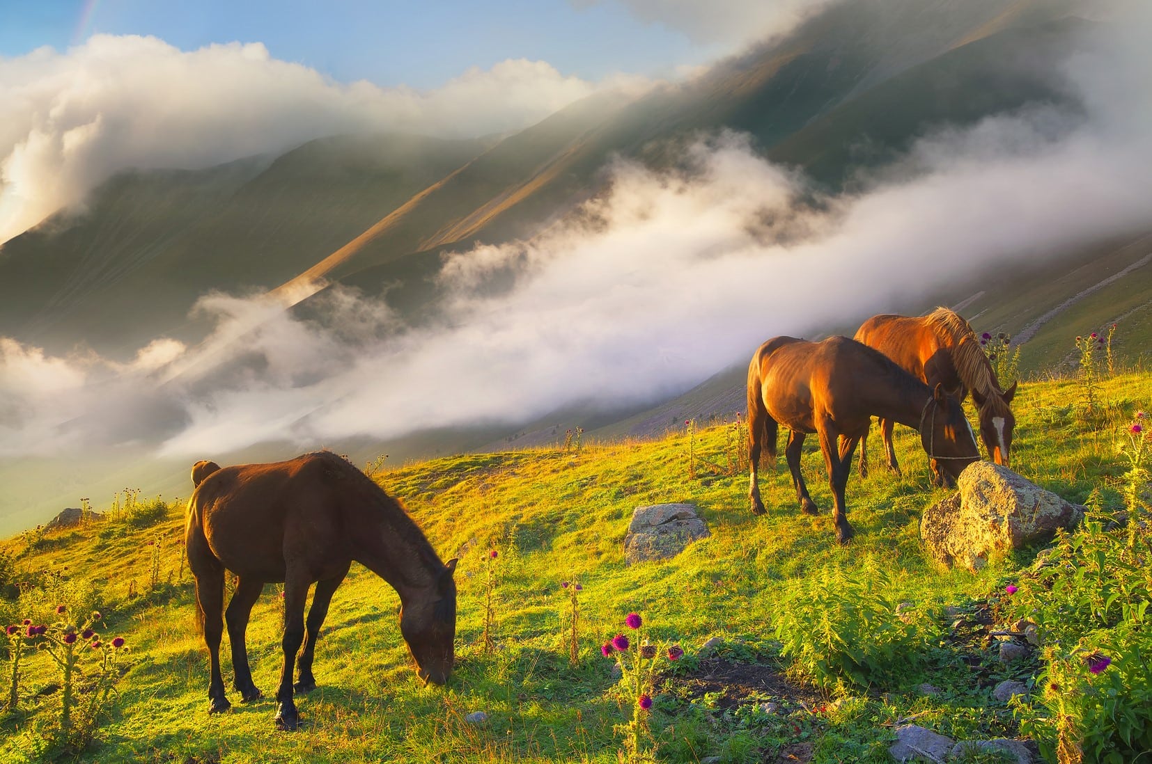 Shape Shifting - Altering Perspective by Davina Herbert - Holistic ...