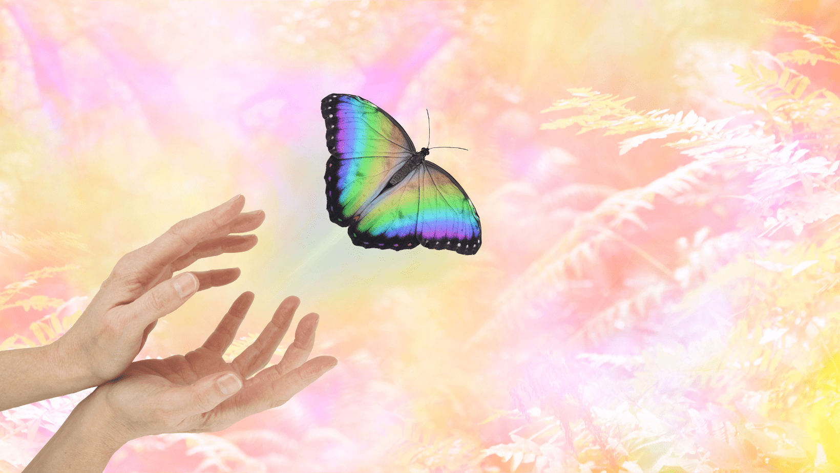 Discovering your Possibilities in Parallel Realities by Trish Rock ...