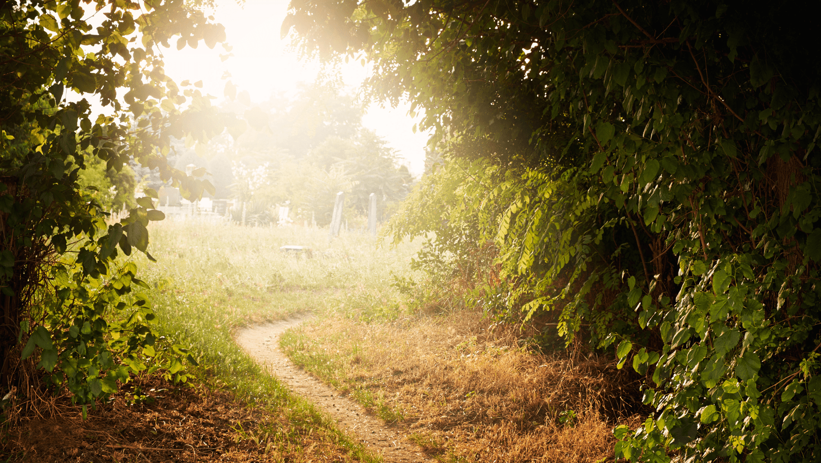 THE PATH OF LIGHT OR THE PATH OF DARK by Yvie Fregon - Holistic Bliss ...