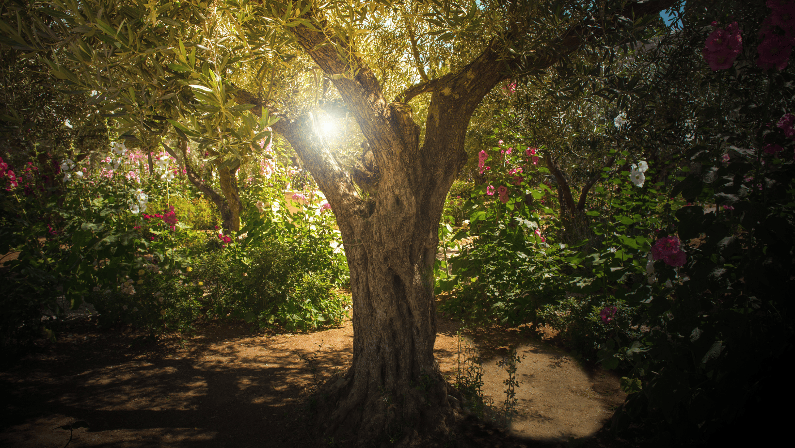 A Loving Mother Earth story by Sharne Young - Holistic Bliss Magazine